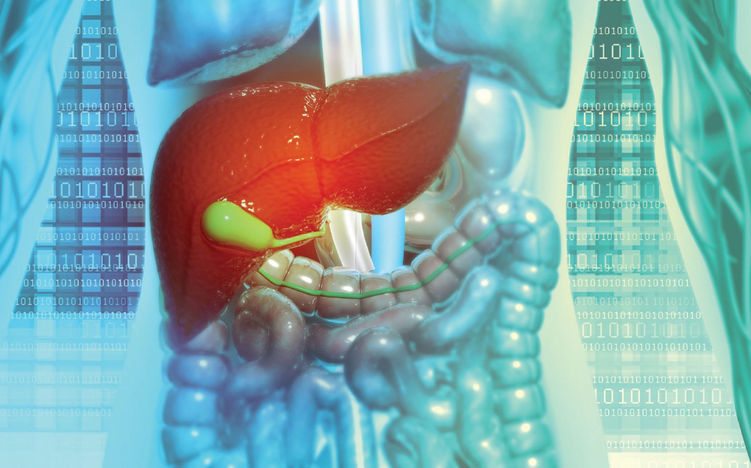 Understanding Gallbladder Disease: Gallstones & Cholecystitis